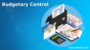 Budgetary Control | Scope and Importance of Budgetary Control