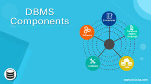 DBMS Components | Guide to List of DBMS Components