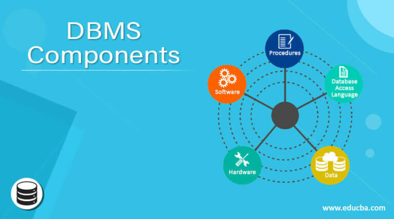 DBMS Components | Guide to List of DBMS Components