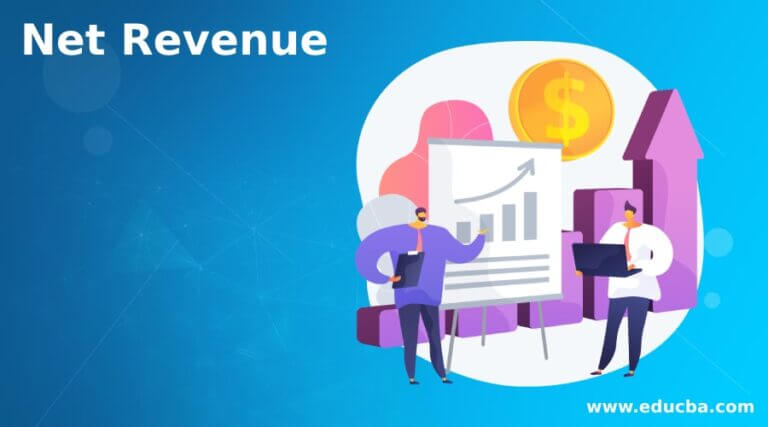 Net Revenue | Importance and Examples of Net Revenue