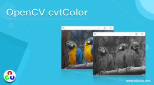 OpenCV cvtColor | Concept of cvtColor() function with Definition, Syntax