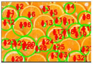 OpenCV watershed | Complete Guide to OpenCV watershed