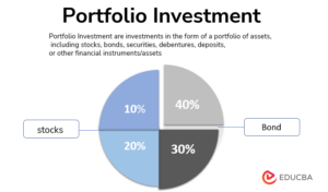 Portfolio Investment | Defintion, Examples and Types Invested in Portfolio