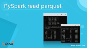 PySpark read parquet | Learn the use of READ PARQUET in PySpark
