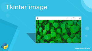 Tkinter image | Learn the Concept of Tkinter Image