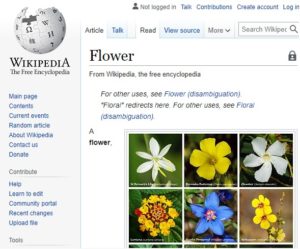jQuery click href | How click href works in jQuery with Examples?