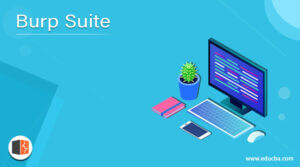 Burp Suite | Learn Various Tools of Burp Suite with Explanation