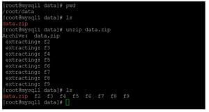 CentOS unzip | How CentOS unzip Works with Examples