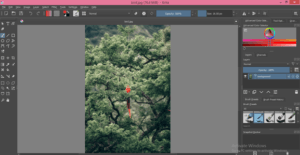 Krita eraser | Learn How to Use Eraser Pixel in Krita?