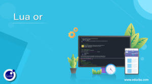 Lua or | How or Operator Works in Lua | Examples