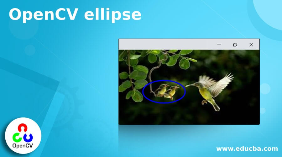 OpenCV Ellipse Syntax And Examples Of OpenCV Ellipse
