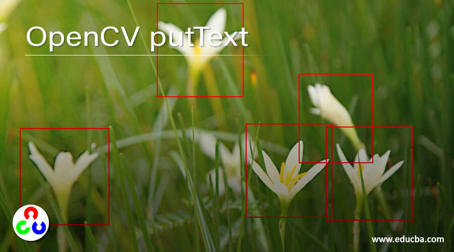OpenCV PutText Learn The Example Of OpenCV PutText