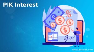 PIK Interest | How to Model PIK Interest? | How does PIK Interest Accrue