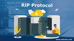 RIP Protocol | How Does RIP Protocol Work with Examples