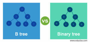 B tree vs Binary tree | Top Differences of B Tree vs Binary Tree