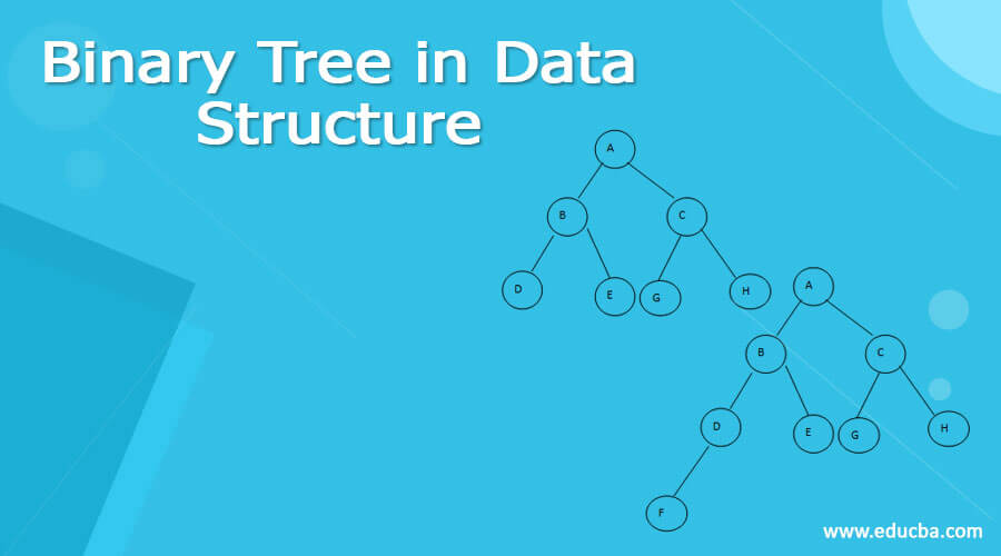 What Data Structure Does A Binary Tree Degenerate To Brown Apee1969