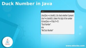 Duck Number in Java | How does Duck number work in Java?