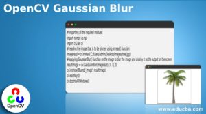 OpenCV Gaussian Blur | Working of Gaussian Blur() | Examples