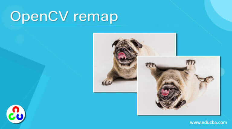 OpenCV remap | Working of remap() Function in OpenCV | Examples