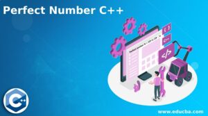 Perfect Number C++ | Complete Guide to Perfect Number C++