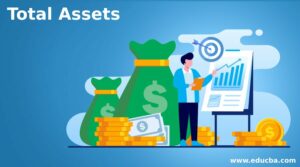 Total Assets | How to Calculate Total Assets? with Examples