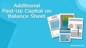 Additional Paid-Up Capital on Balance Sheet | Importance and Example