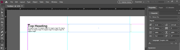 Adobe Indesign Uses | Learn How to Use Indesign for creating a layout?