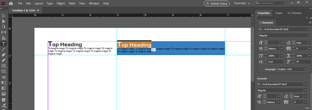 Adobe Indesign Uses | Learn How to Use Indesign for creating a layout?