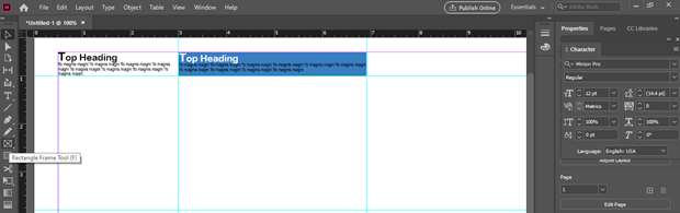 Adobe Indesign Uses | Learn How to Use Indesign for creating a layout?