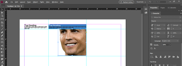 Adobe Indesign Uses | Learn How to Use Indesign for creating a layout?