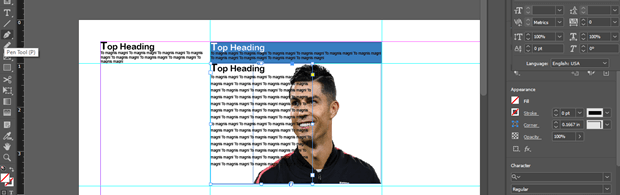 Adobe Indesign Uses | Learn How to Use Indesign for creating a layout?