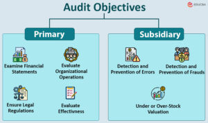 7 Key Audit Objectives in Accounting | Primary and Subsidiary