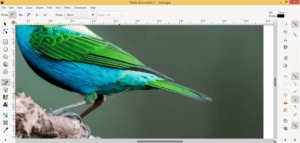 Inkscape Remove Background | How to Remove Background in Inkscape?