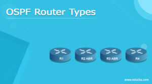 OSPF Router Types | Guide to OSPF Different Types of Router