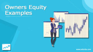Owners Equity Examples | Explanation and examples of Owners Equity