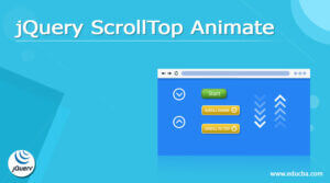 jQuery ScrollTop Animate | How jQuery ScrollTop Animate works?