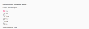 Angular material radio button | How radio button works with Example?