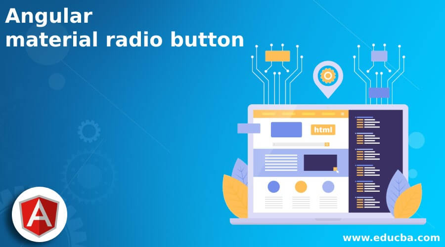 Angular Material Radio Button How Radio Button Works With Example 
