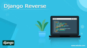 Django Reverse | How Reverse Function works? | Examples
