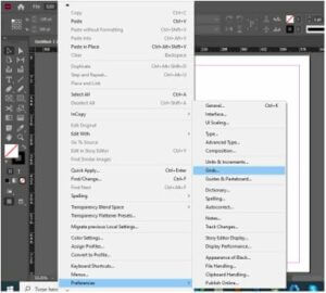 InDesign Grid | Learn How to Use Grid with Images and text in InDesign?