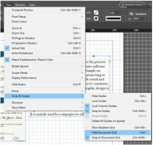 InDesign Grid | Learn How to Use Grid with Images and text in InDesign?