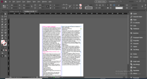 InDesign columns | Learn How to create and work with Column?