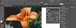 InDesign eyedropper tool | Learn How to Use the EyeDropper tool?