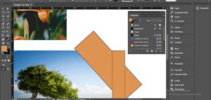 InDesign eyedropper tool | Learn How to Use the EyeDropper tool?