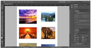 InDesign gap tool | Learn How to Use Gap tool in InDesign?