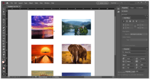 InDesign gap tool | Learn How to Use Gap tool in InDesign?