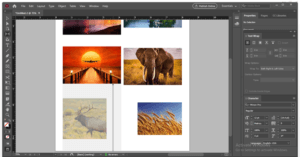 InDesign gap tool | Learn How to Use Gap tool in InDesign?
