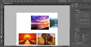 InDesign gap tool | Learn How to Use Gap tool in InDesign?