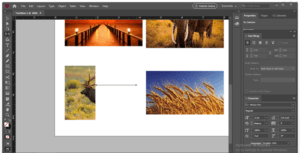 InDesign gap tool | Learn How to Use Gap tool in InDesign?