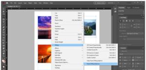 InDesign gap tool | Learn How to Use Gap tool in InDesign?